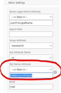 Netscaler – Configure Your Access Gateway To Allow Logon with AD Credentials Using ...